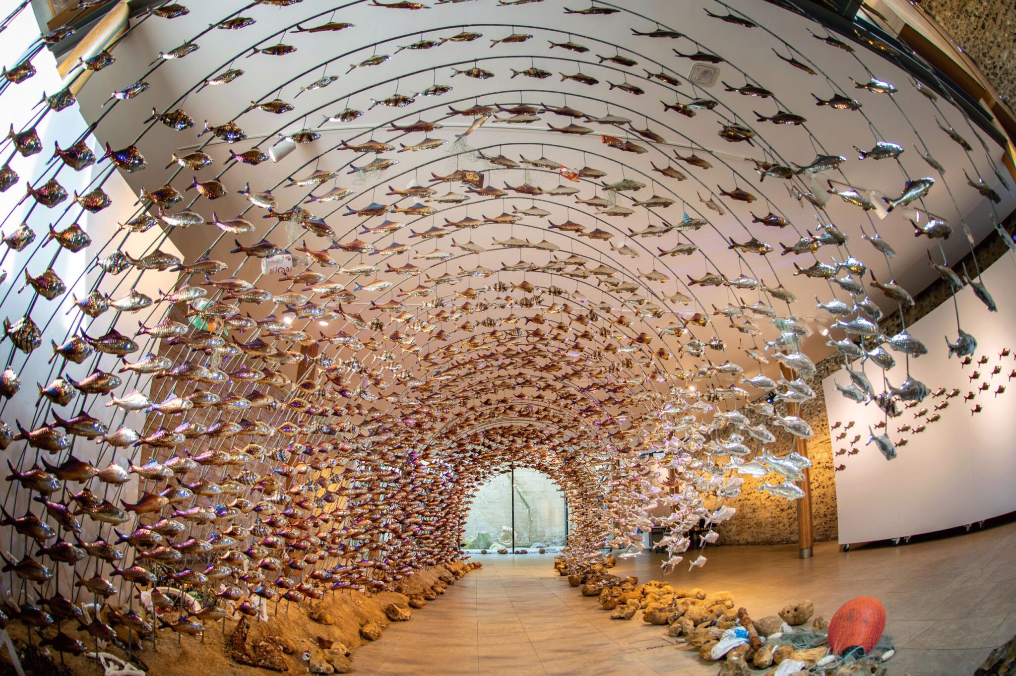 Wave of fish sculpture by Mark Reed Natural History Museum Dippy on ...