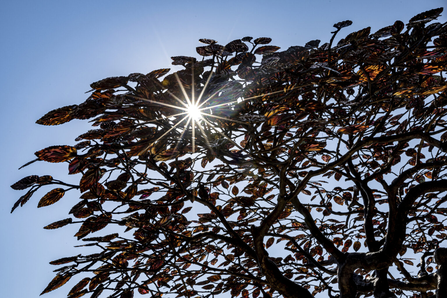 Serving Ace Tree - Mark Reed Sculpture